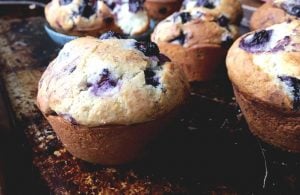 The Best Blueberry Muffins Recipe | Savory Sweet Life